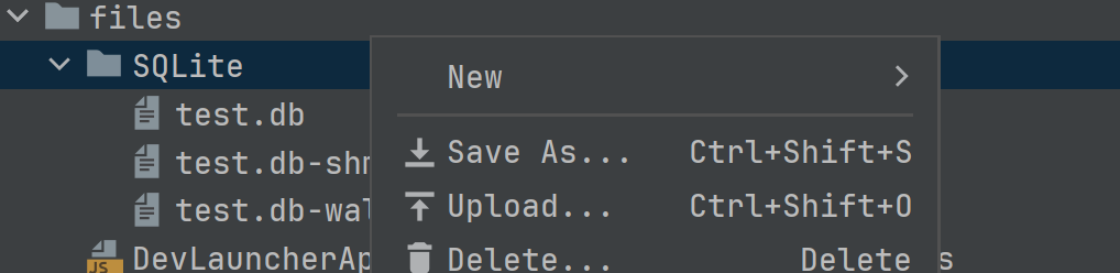 Import and Export SQLite Database in Expo Native and Web